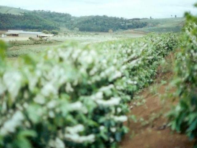 Fazenda