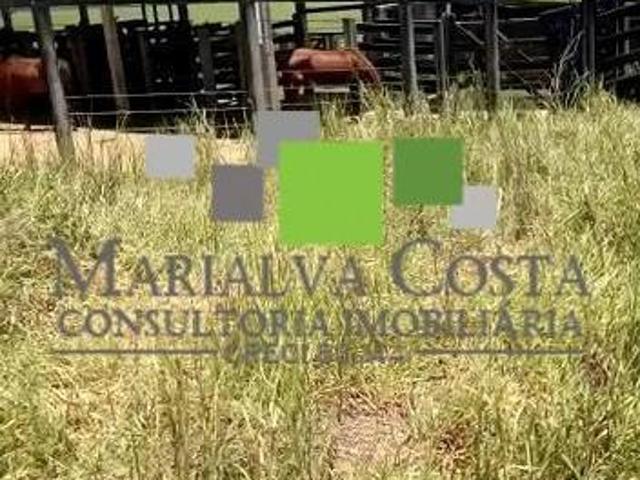 Fazenda