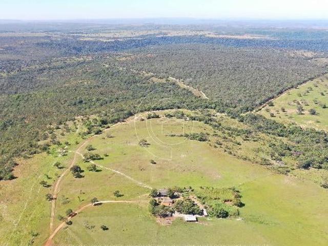 Fazenda
