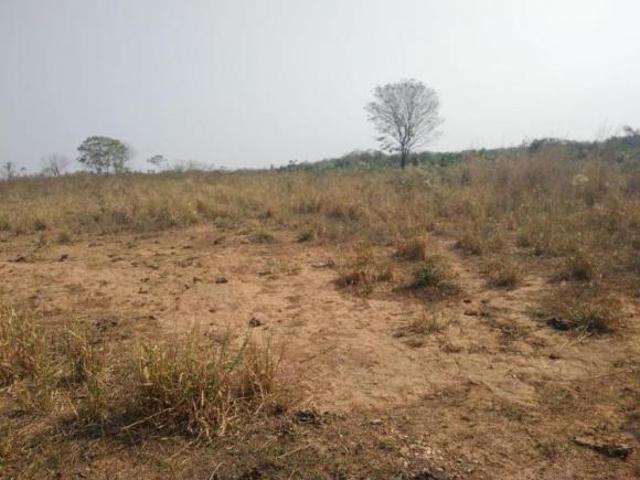 Fazenda