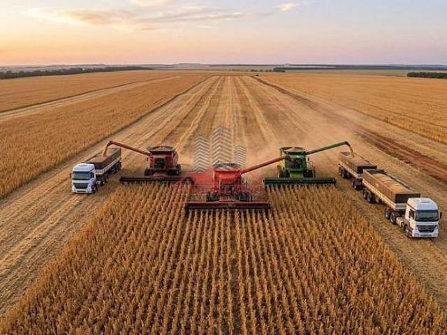 Fazenda 7.200 ha à Venda em Querência MT | 15 Anos Lavoura