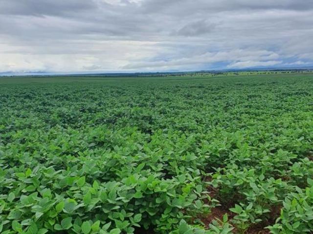 Fazenda
