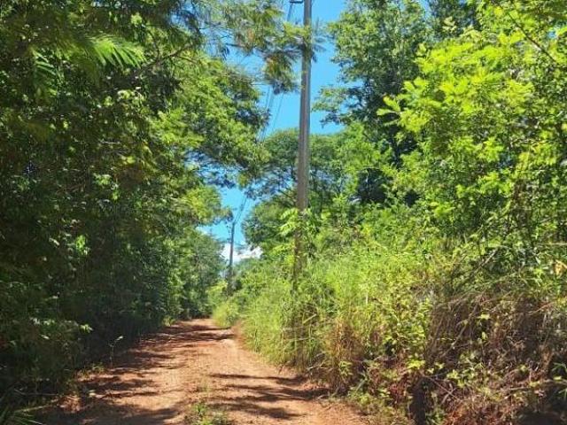 Fazenda