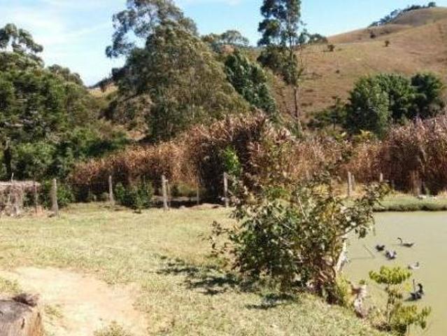 Fazenda