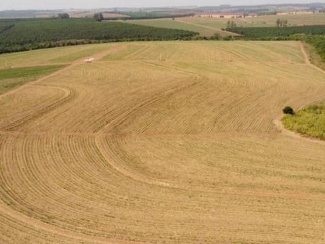 Fazenda