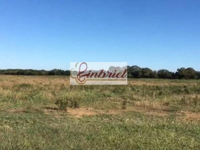 Fazenda