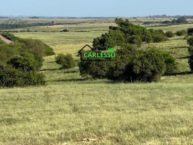 Fazenda