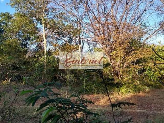 Fazenda