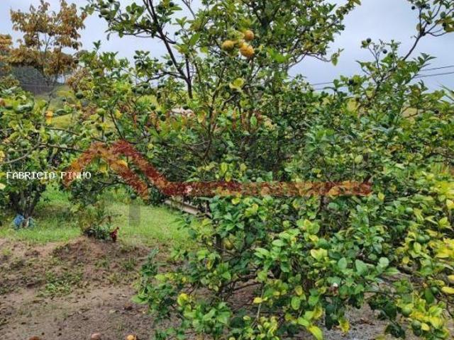 Fazenda