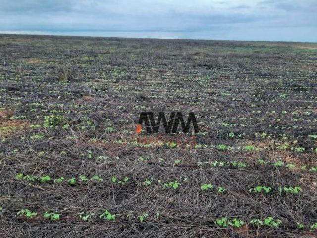 Fazenda