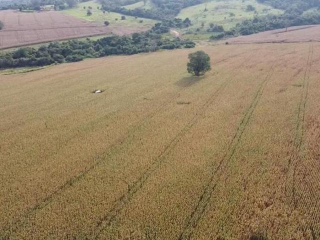 Fazenda