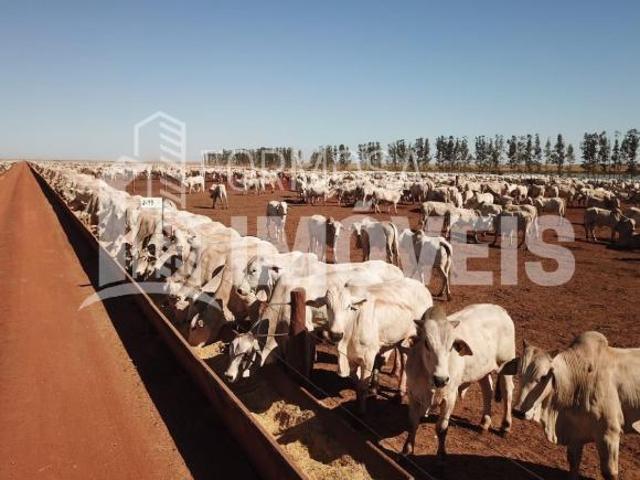Fazenda