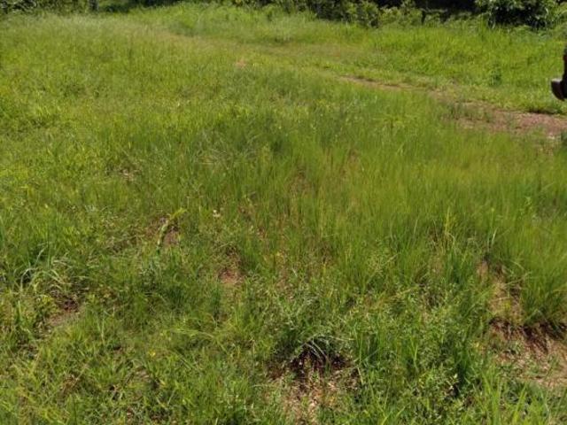 Fazenda