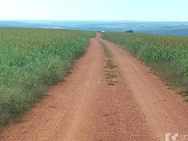 Fazenda