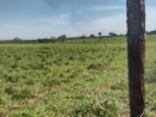 Fazenda