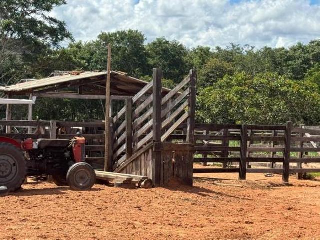 Fazenda