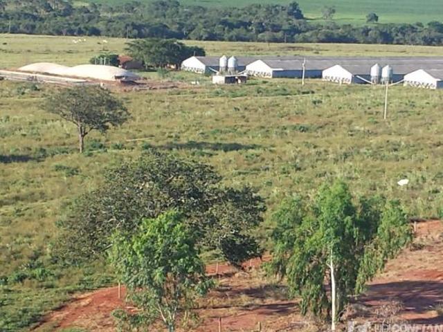 Fazenda