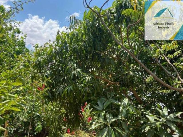 Fazenda