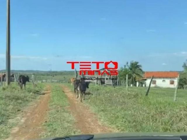 Fazenda