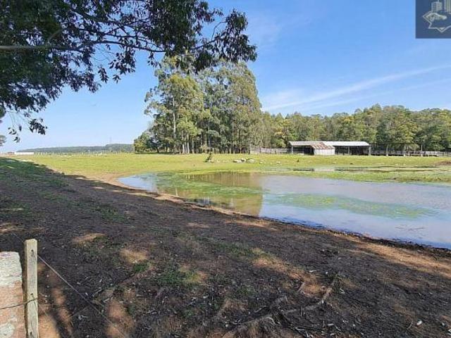 Fazenda