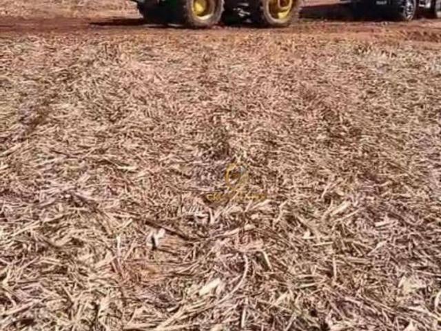 Fazenda 86 HA Cana de açúcar a venda em Altinópolis SP!