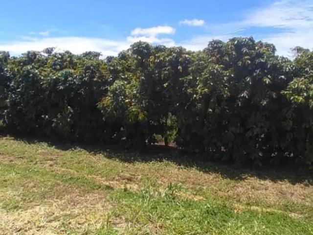 Fazenda