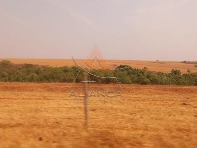 Fazenda