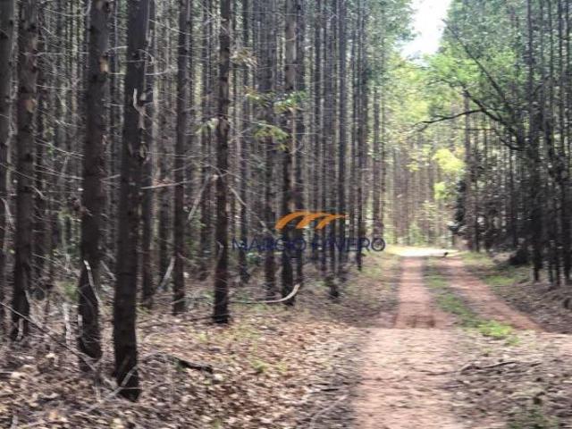 Fazenda