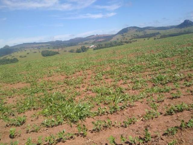 Fazenda