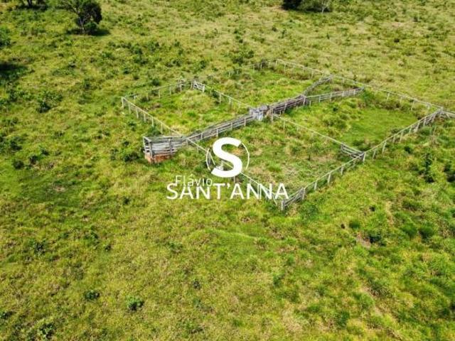 Fazenda para venda em Centro, Ribas do Rio Pardo