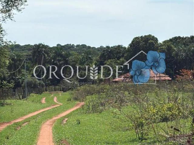 Fazenda