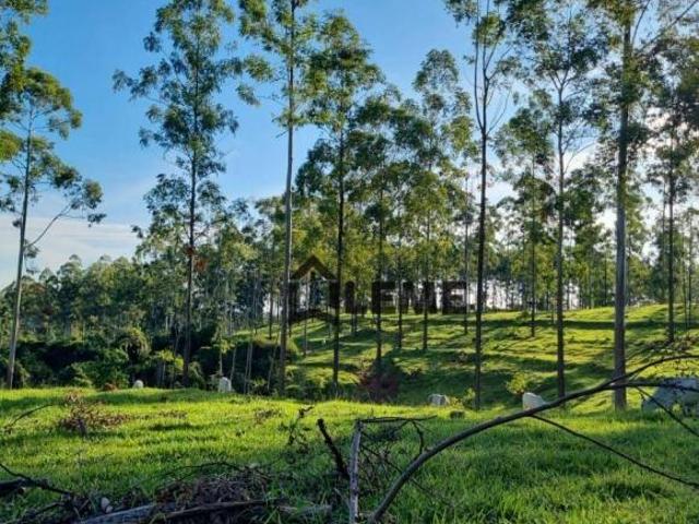 Fazenda