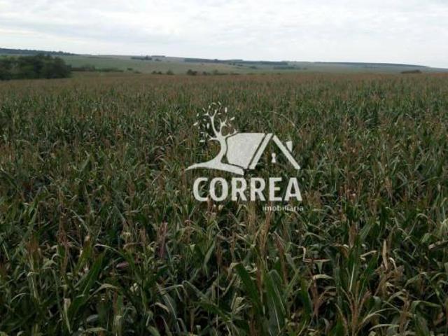 Fazenda
