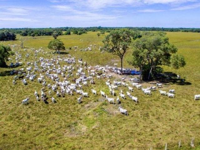 Fazenda