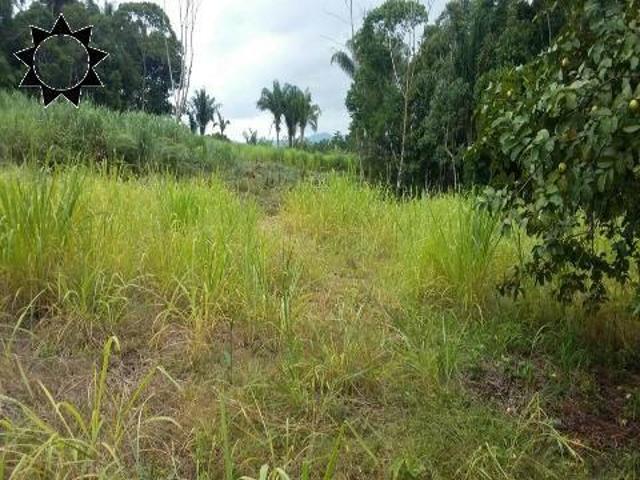 Fazenda