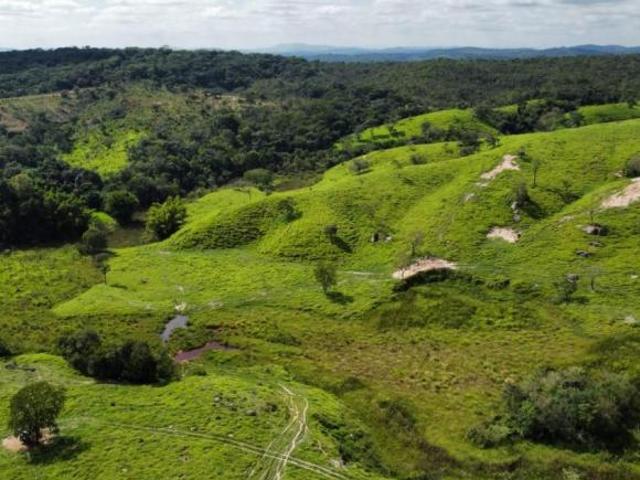 Fazenda