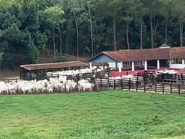 Fazenda