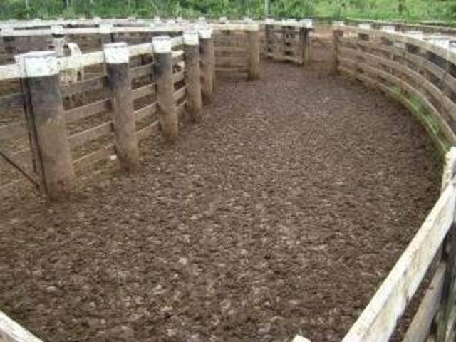 Fazenda