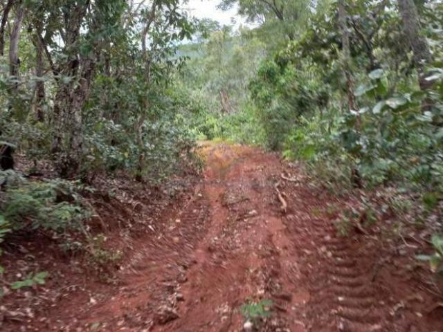 Fazenda 800 ha pecuária ou eucalipto Figueirão, MS, Brasil