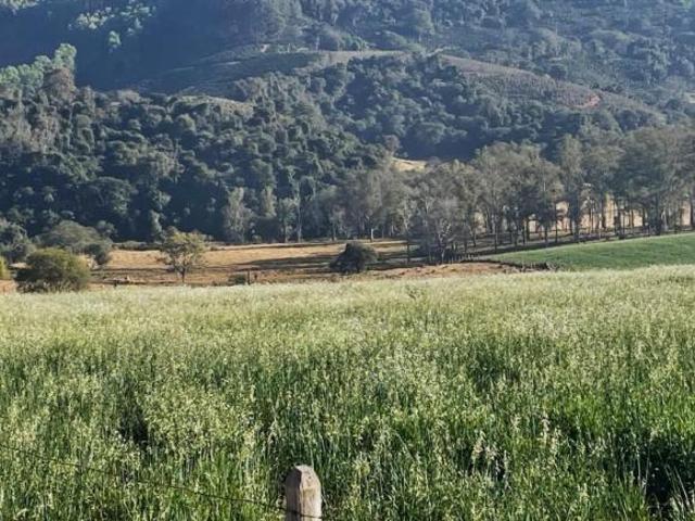 Fazenda