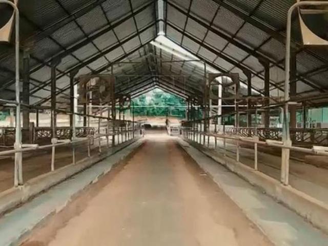 Fazenda para venda em Centro, Carmo de Minas