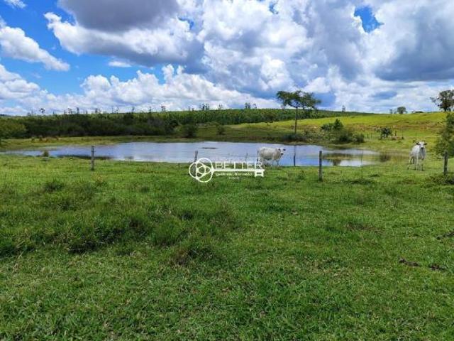 Fazenda