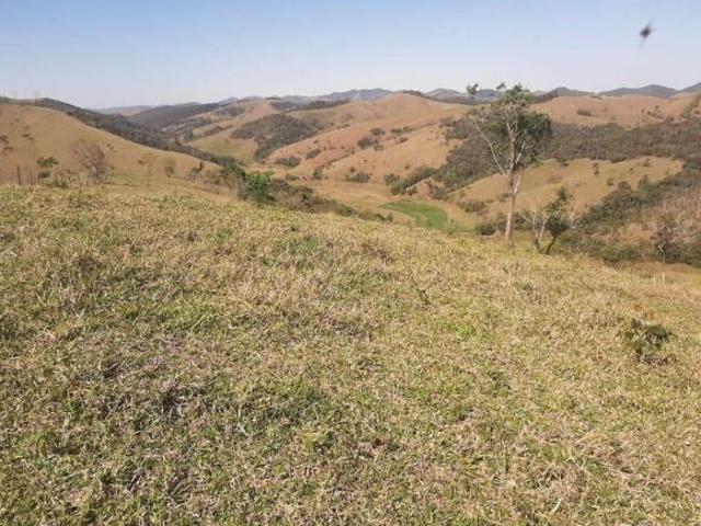 Fazenda