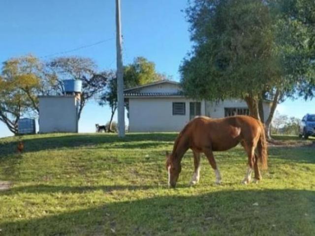 Fazenda 804 hectares a venda, Oportunidade de Negócio, Santana da Boa Vista Caçapava do Sul RS