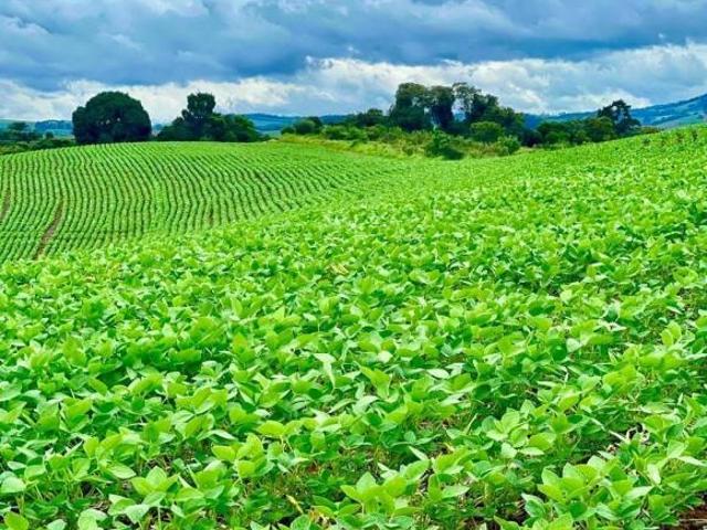 Fazenda