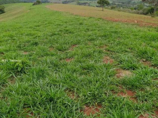Fazenda