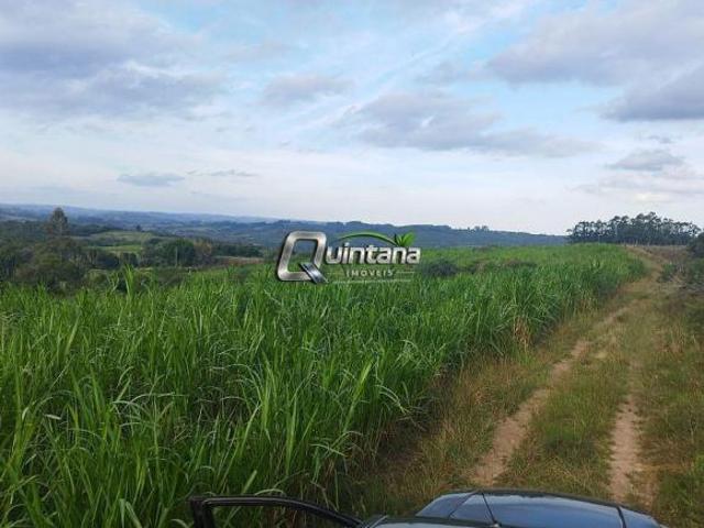 95 hectares em Amaral Ferrador