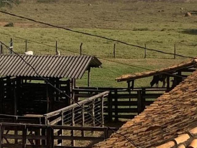 Fazenda