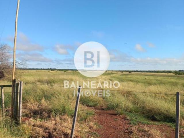 Fazenda