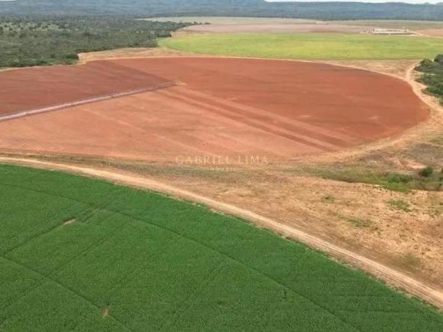 Fazenda